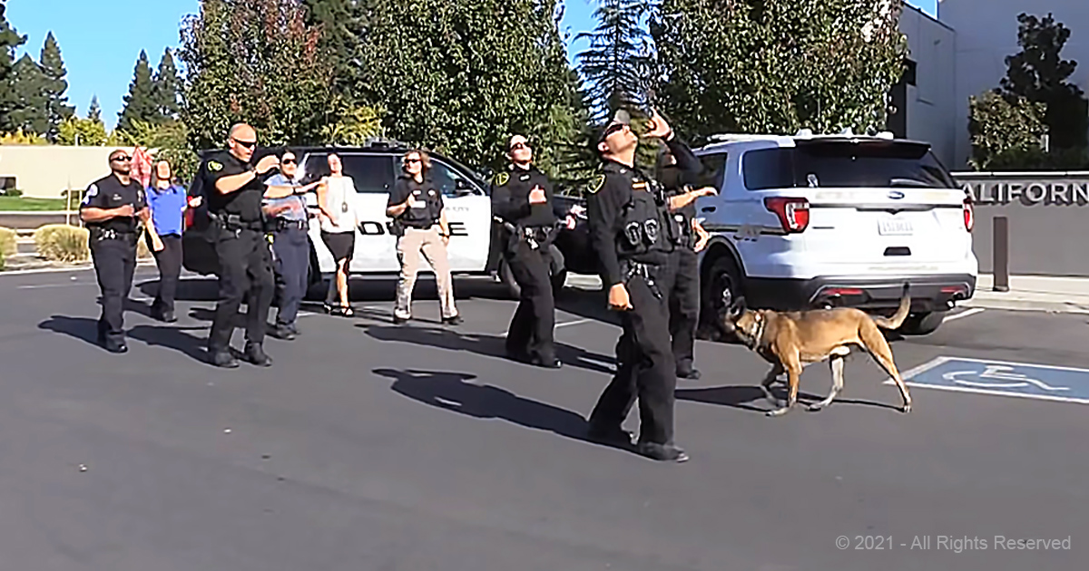 Adorable police dog grooving to music brings laughter – Variety Show