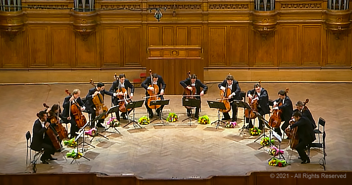 12 Cellists Charm the World | Variety Show